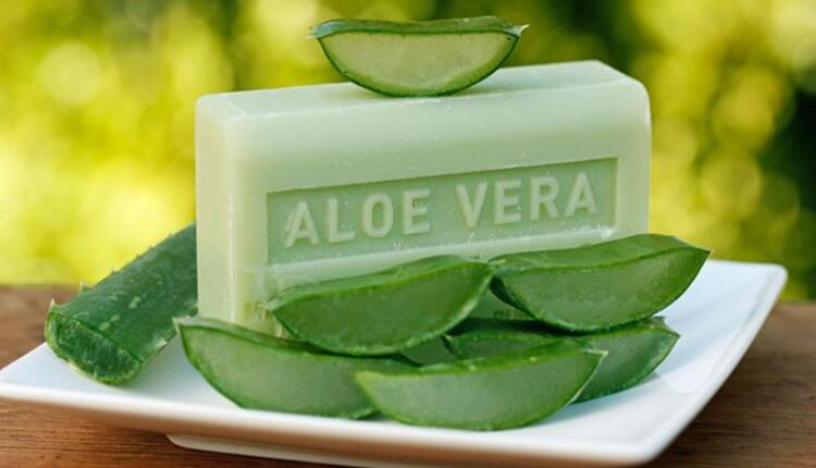 Aloe vera Doğal Sabun